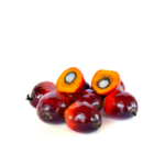 Batana Oil - Cold Pressed - Holistic Emporium