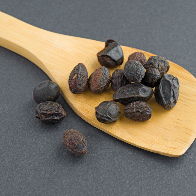 Saw Palmetto Dried Berries